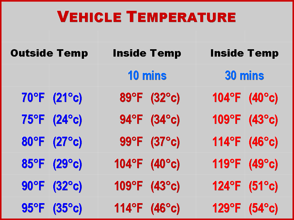 Superior Poly-Epoxy Adhesive | Superior Stone Products